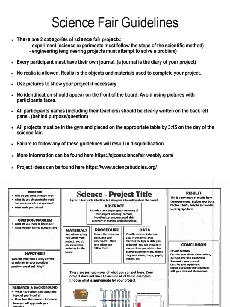 Science Fair Flyer | PDF | Prototype | Scientific Method