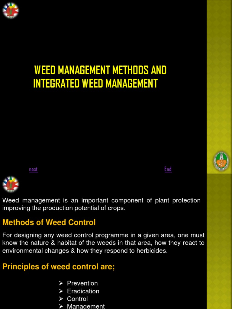 Integrated Weed Management: A Systems Approach to Minimizing Weed ...