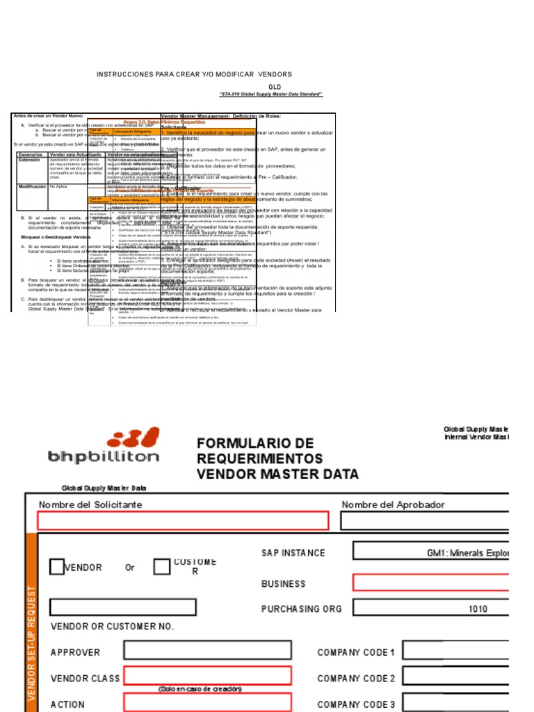 Vendor Master Data Setup Instructions | PDF