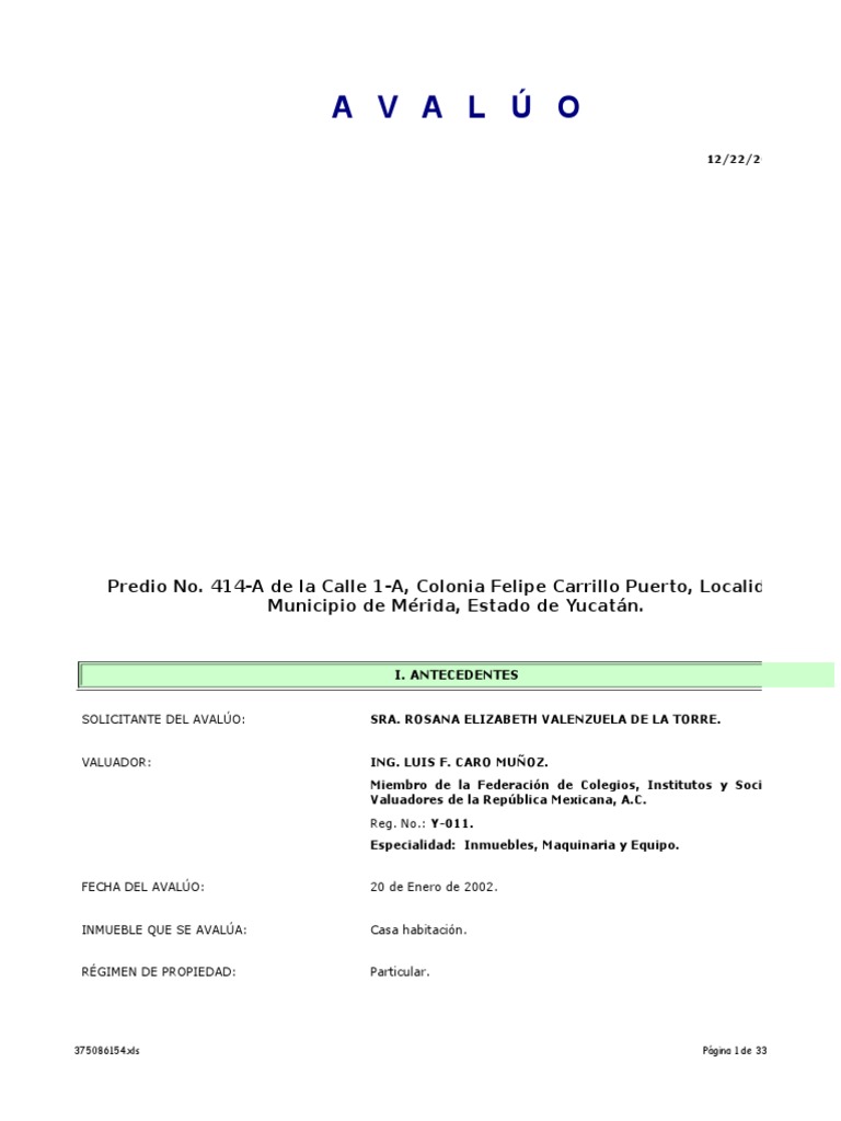 Formato de Avaluo | Descargar gratis PDF | Aluminio | Science