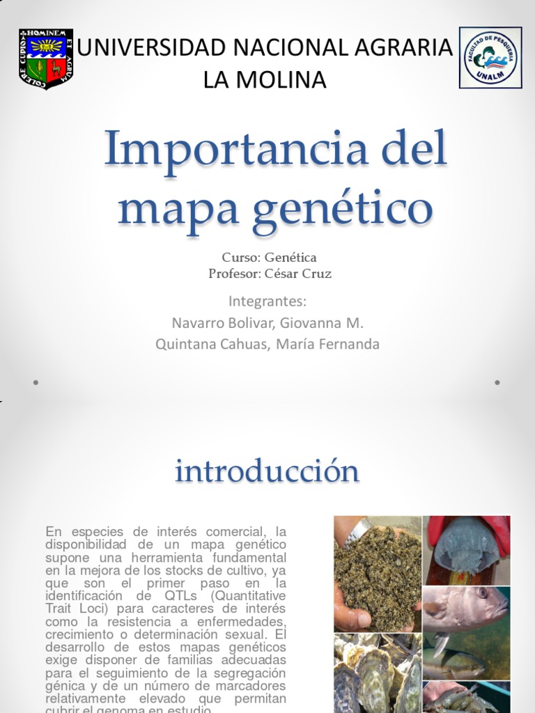 Importancia Básica y Aplicada de Los Mapas Genéticos | PDF ...