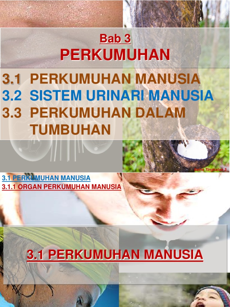 Sains t3 Bab 3 - Perkumuhan (Complete) | PDF