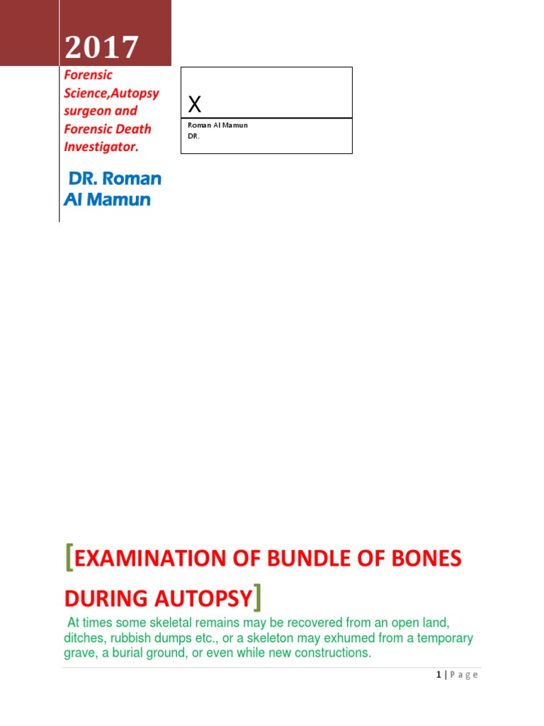 Bundle of Bones | PDF | Bone | Pelvis