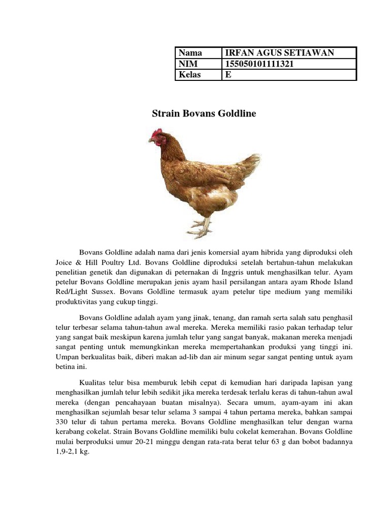 Bovans Goldline | PDF | Kesehatan Holistik