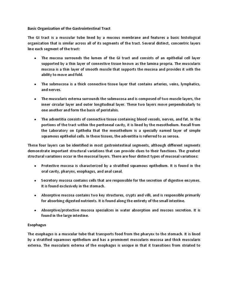 Histology of The Gastrointestinal Tract | PDF | Epithelium | Stomach