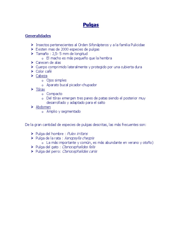 Pulgas - Pulicosis | PDF | Animales y humanos | Organismos