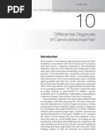 Musculoskeletal Clinical Translation Framework | PDF | Pain | Neuroscience