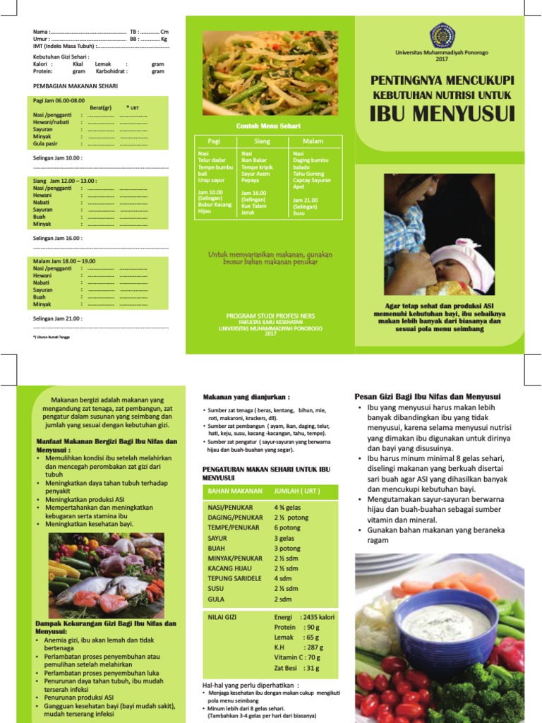 Menu Seimbang untuk Ibu Menyusui | PDF