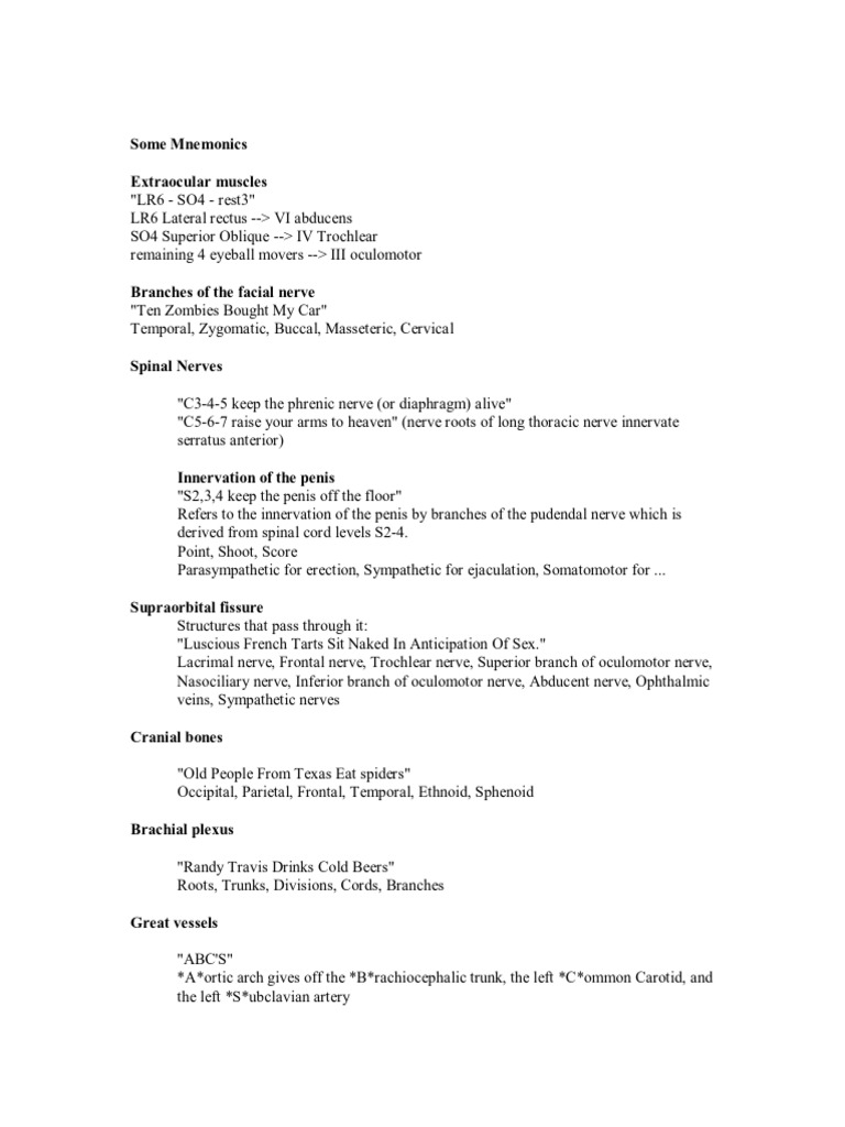 Anatomy Mnemonics | PDF | Memory Processes | Mental Processes