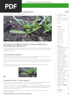 Cuento Crisantemo | PDF