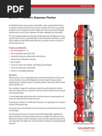 SPM Flow Line Safety Restraint System FSR Installation Guide PDF | PDF ...