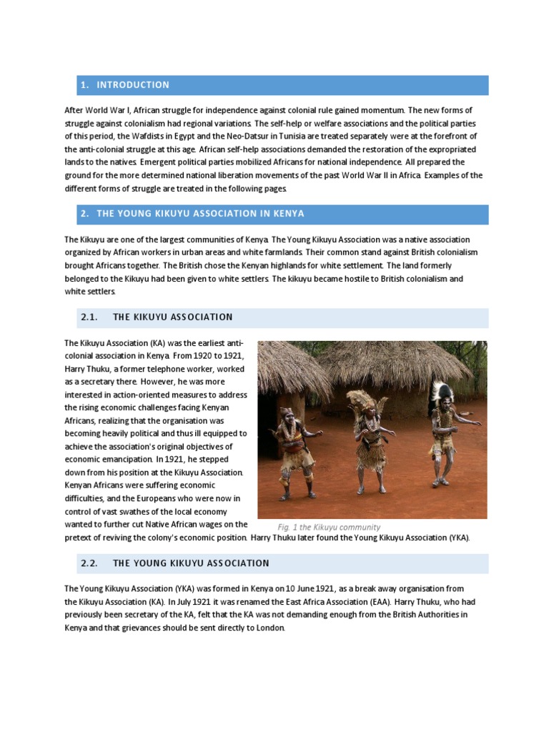 History Assignment | PDF | African National Congress | Government