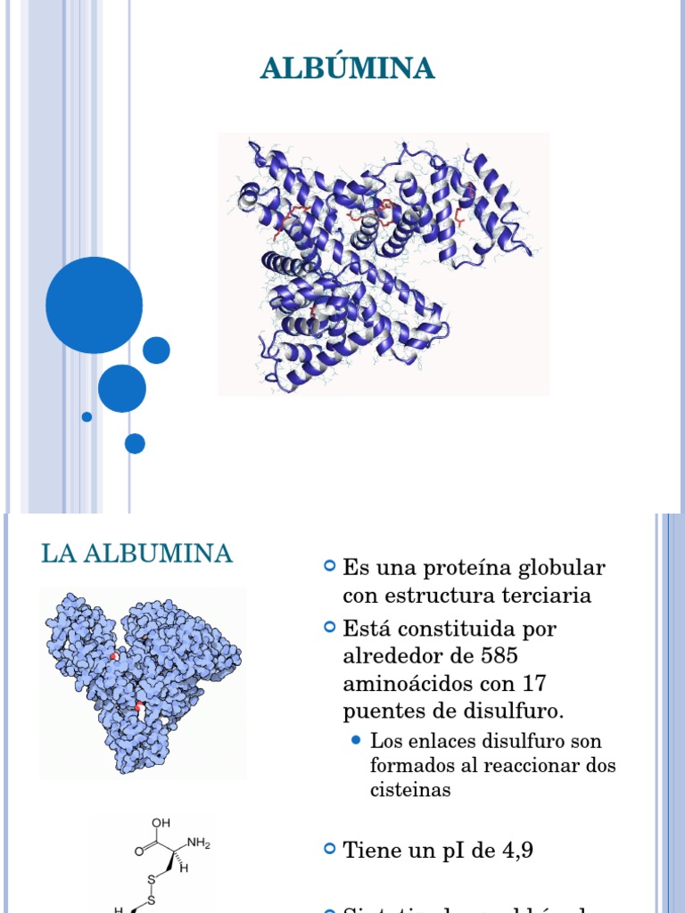 Albumina | Fisiología | Ciencia