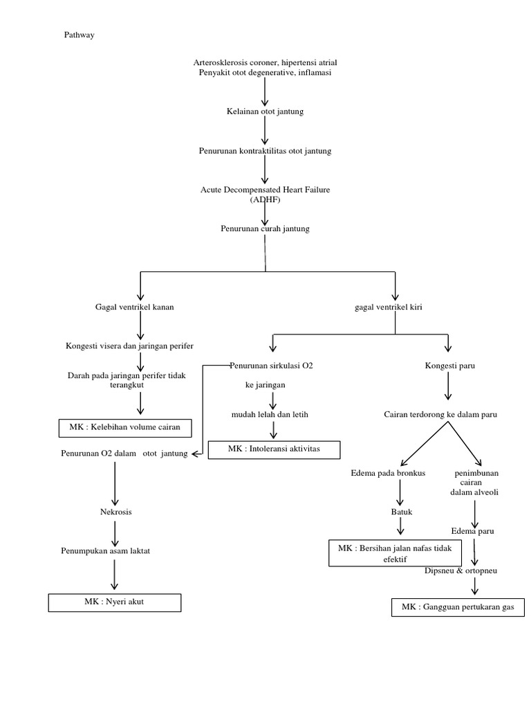 Pathway Gagal Jantung Akut dan Kongesti | PDF