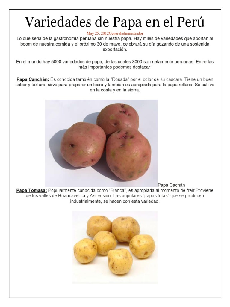 Variedades de Papa en El Perú | PDF | Patata | Salsa