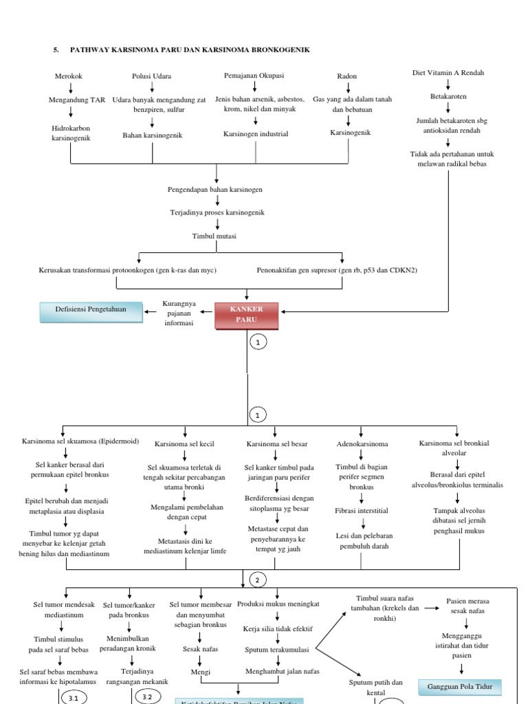 Pathway Kanker Paru | PDF