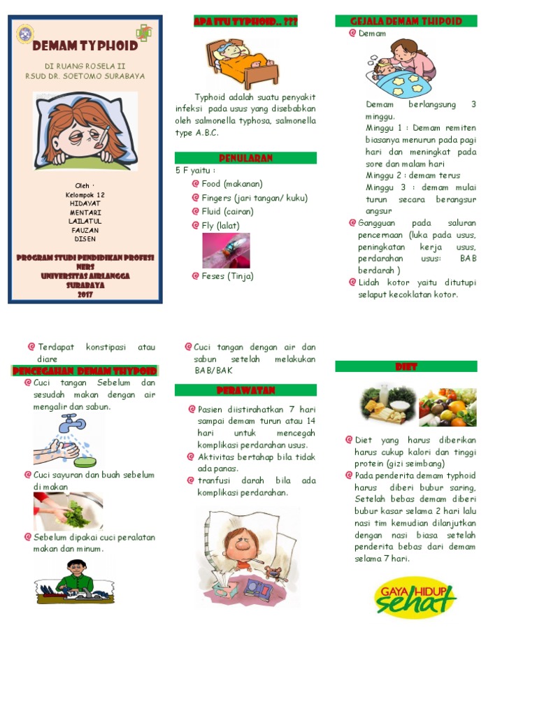 Leaflet Typoid | PDF