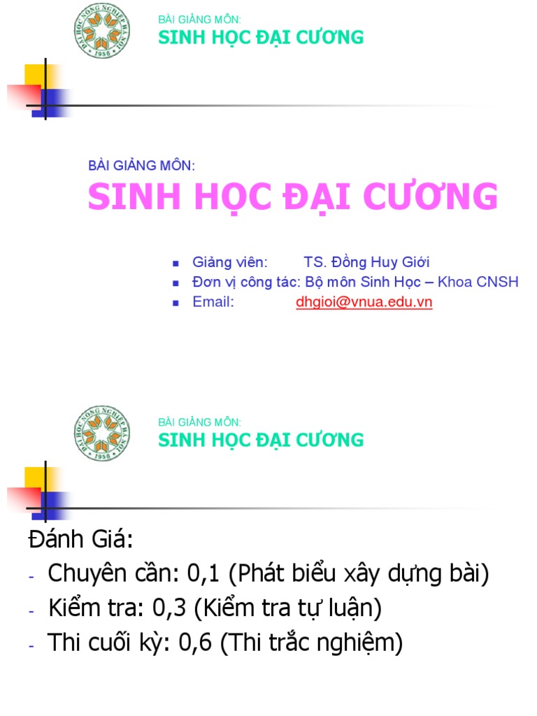 SHDC. Bai 1 | PDF