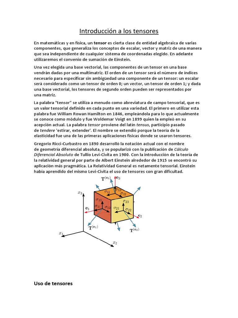 Introducción A Los Tensores | PDF | Tensor | Vector Euclidiano