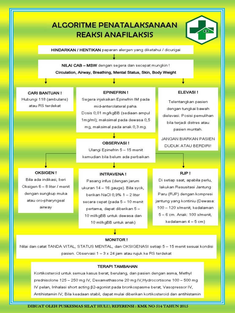 Algoritme Syok Anafilaktik | PDF