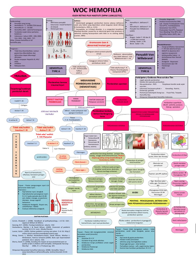 Woc Hemofilia New | PDF