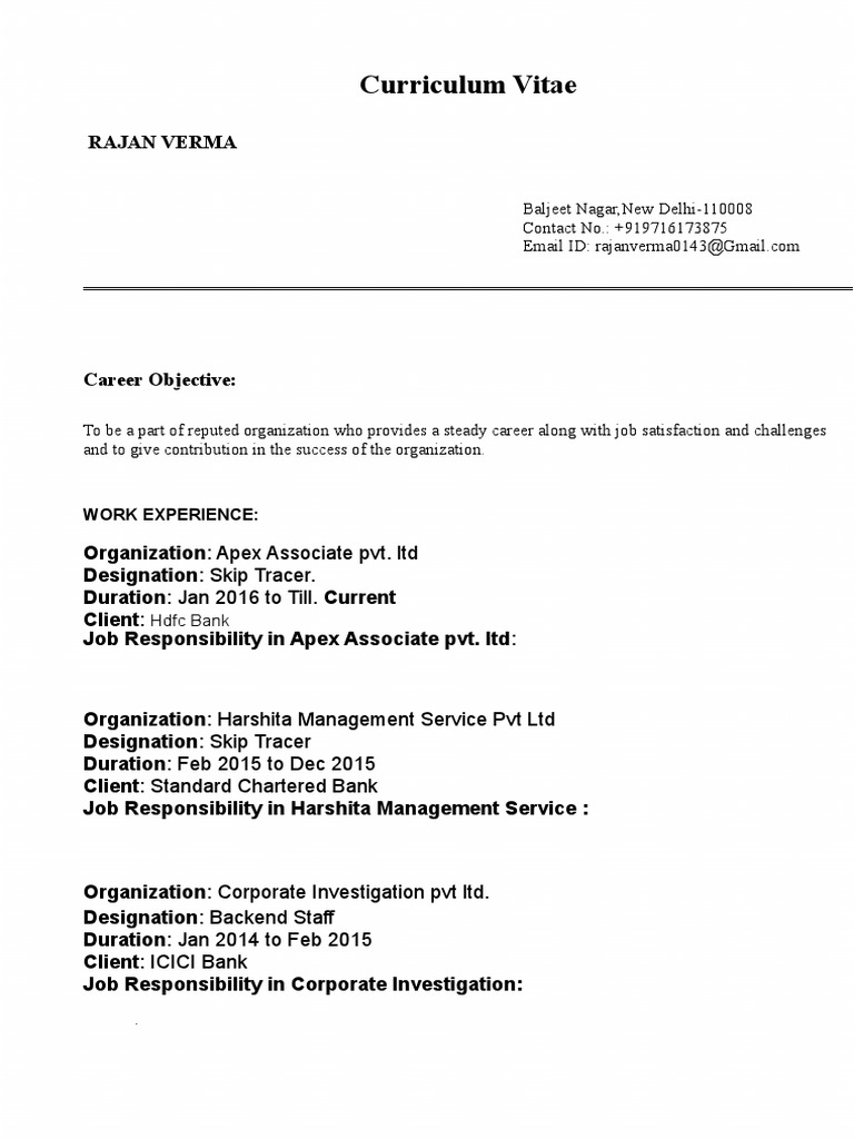 RajanVerma (2 0) | PDF | Computing And Information Technology | Business