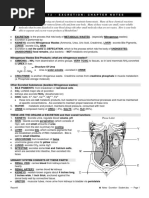 ? Excretion - Grade 11 Life Sciences | PDF