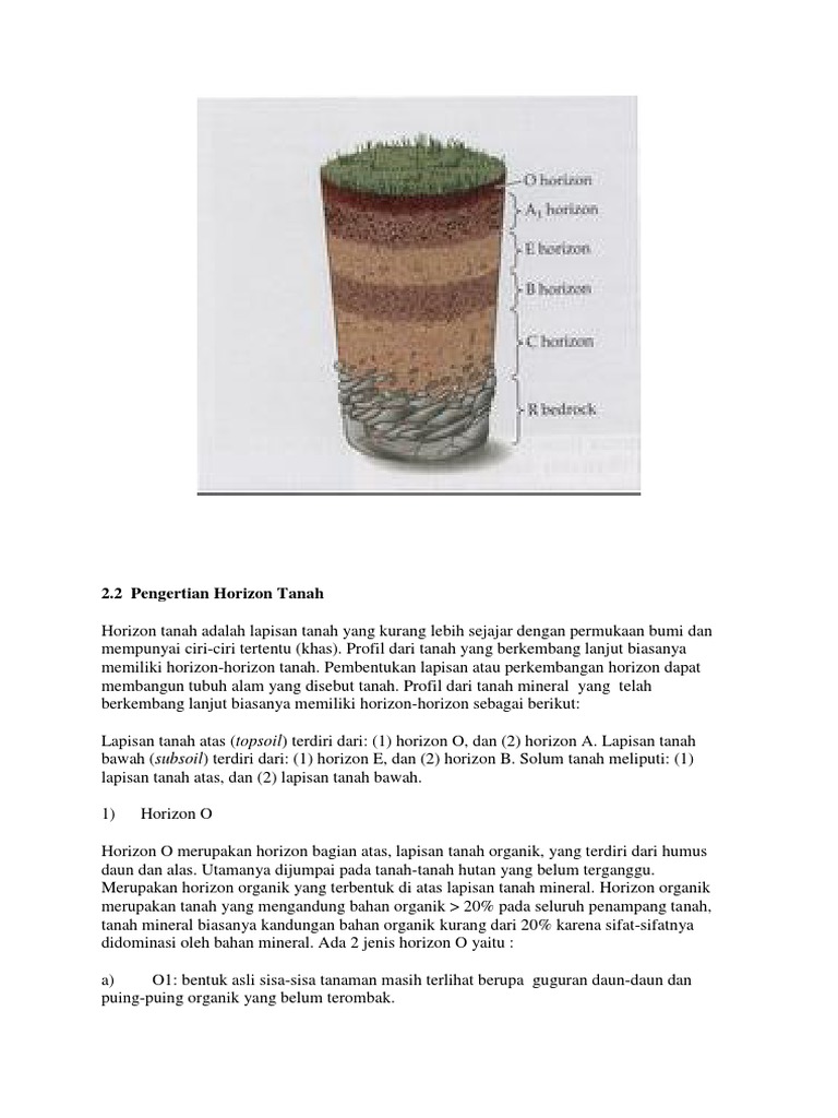 Profil dan Jenis Horizon Tanah | PDF