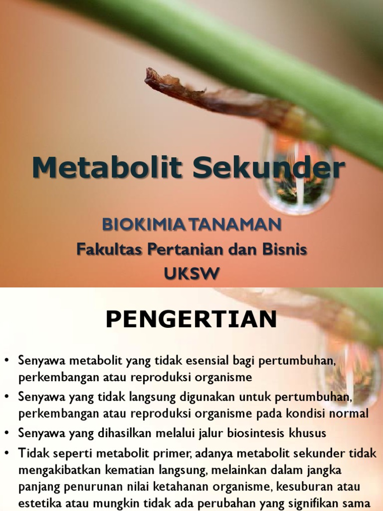 Metabolit Sekunder | PDF