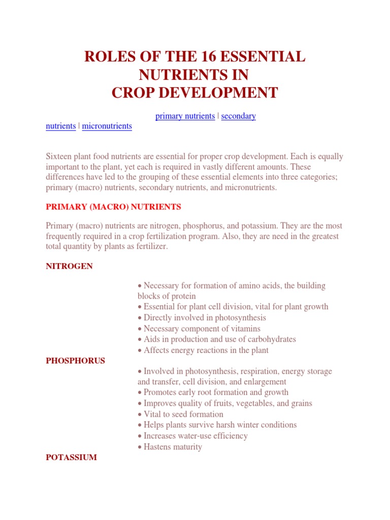 Roles of The 16 Essential Nutrients in | PDF | Nutrients | Plants