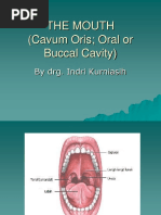 Anatomy of the Oral Cavity | PDF | Tongue | Mouth