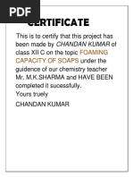 Foaming Capacity of Soaps Investigatory Projects Chemistry Class 12 ...