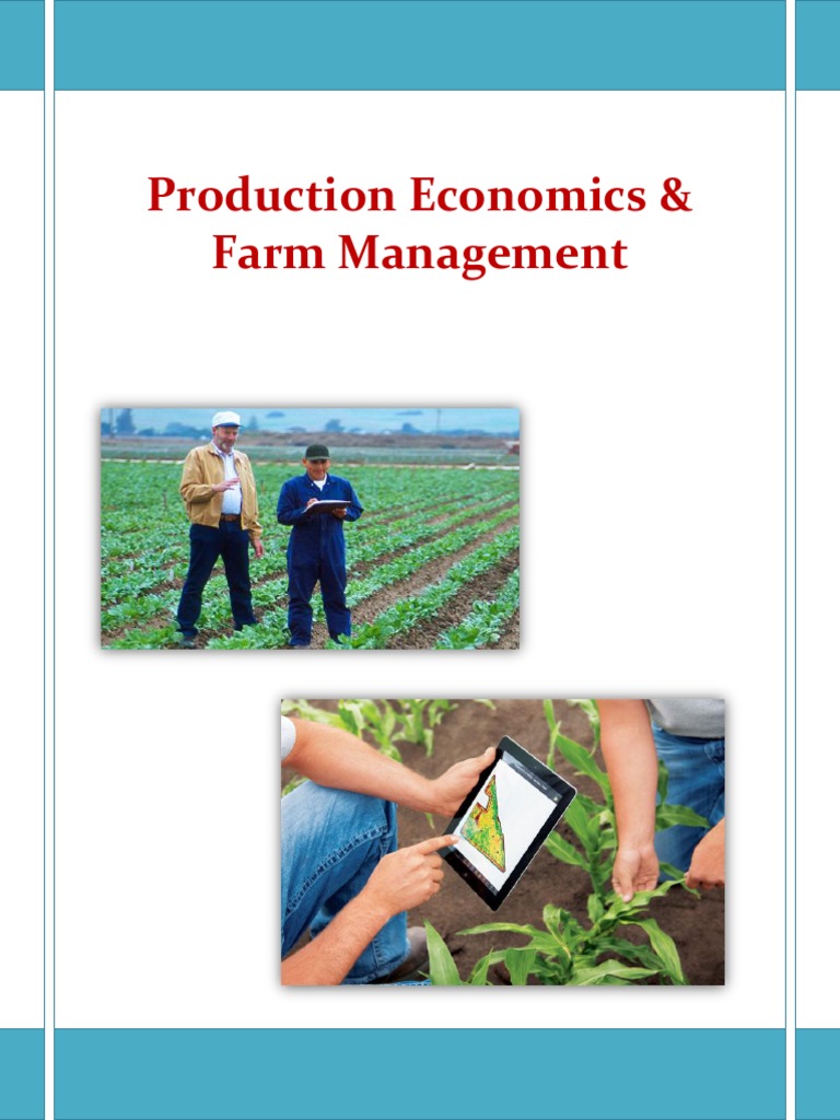Production Economics Farm Management | PDF | Factors Of Production ...