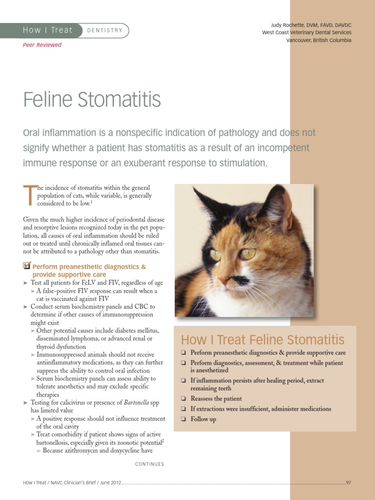 Feline Stomatitis | PDF | Human Tooth | Periodontology