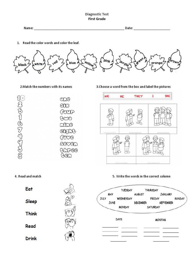First Grade: Diagnostic Test | PDF