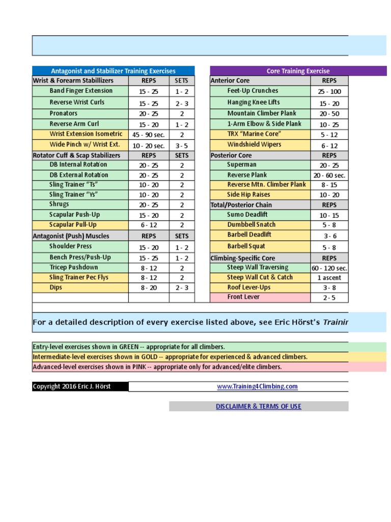 T4C Intermediate Program | PDF | Aerobic Exercise | Human Anatomy