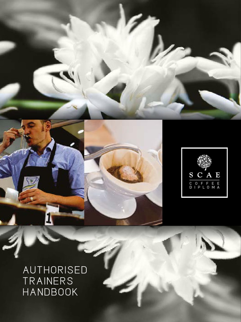 Scae Ast Handbook | PDF | Perception | Professional Certification