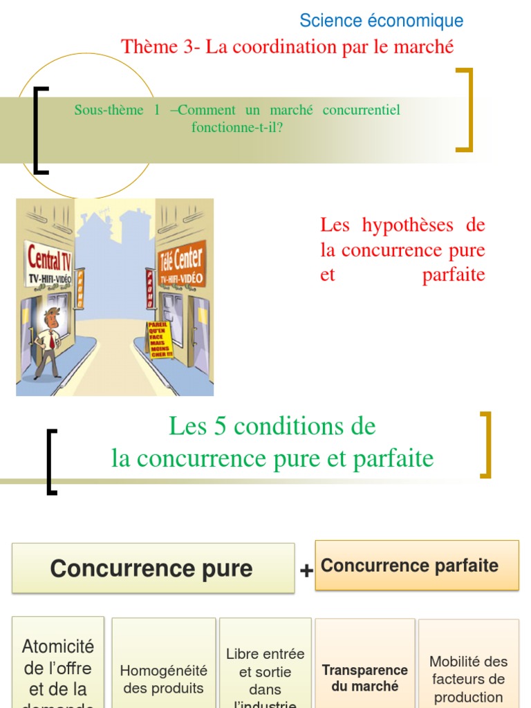 Les 5 Hypothèses de La CPP | PDF