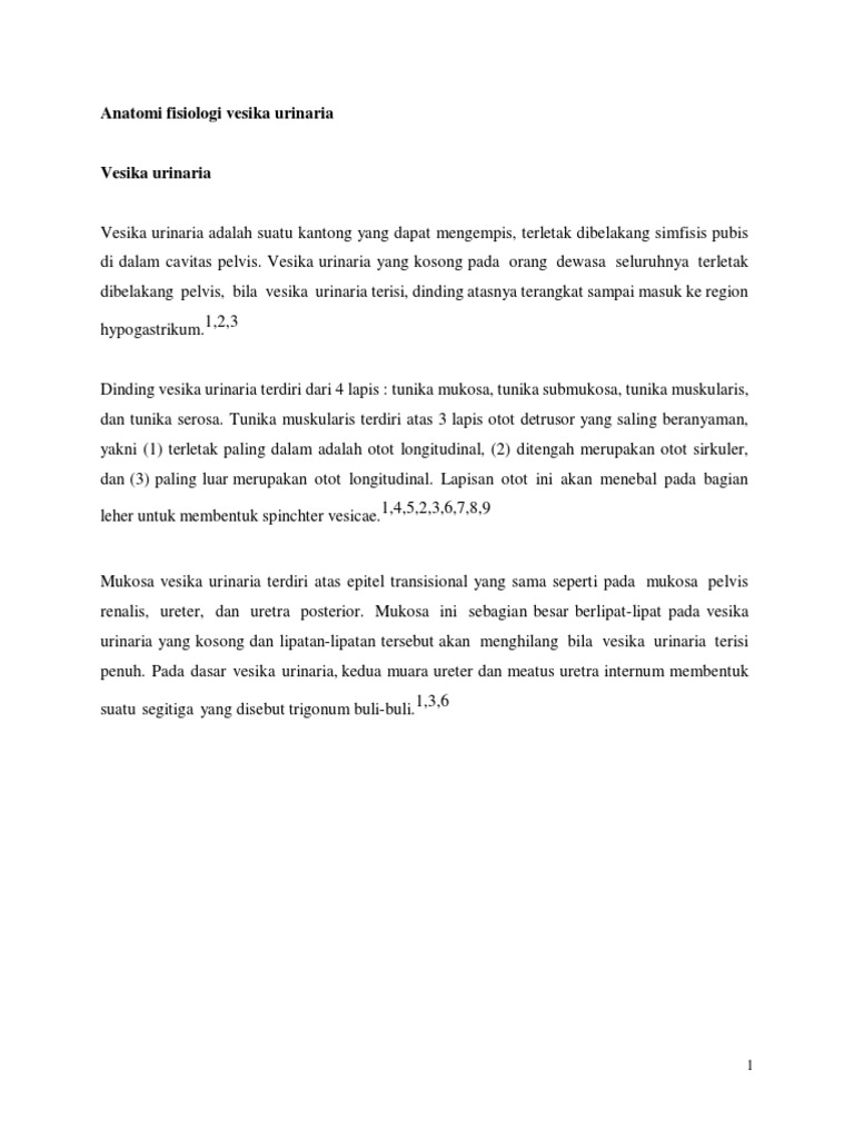 Anatomi dan Fisiologi Vesika Urinaria | PDF