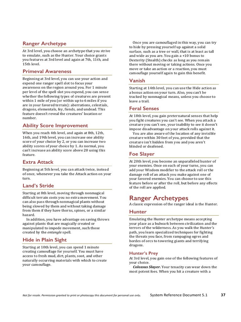 Ranger Archetype | PDF | Computers