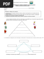 (5 Basico) Piramide Social Colonial | PDF