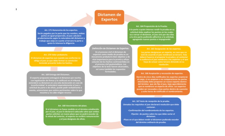 Esquema Dictamen de Expertos | PDF | Evidencia (ley) | Gobierno