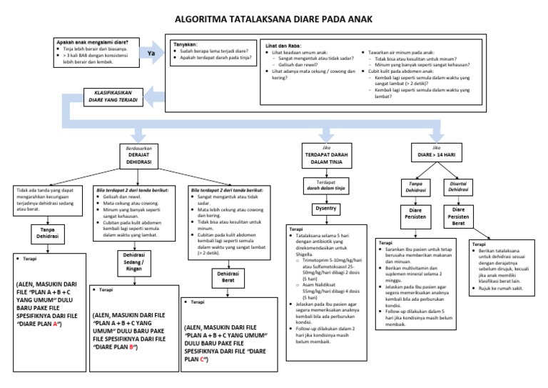 Algoritma Tatalaksana Diare Pada Anak (Besar Lengkap)