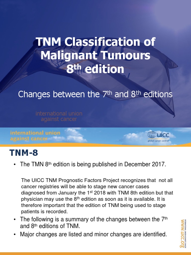 TNM8 Changes | PDF | Ovarian Cancer | Metastasis