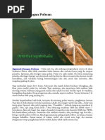 Pembantu Di Perkosa Supir Pribadi Majikan Foto Kontol Super - Cerita Dewasa | PDF