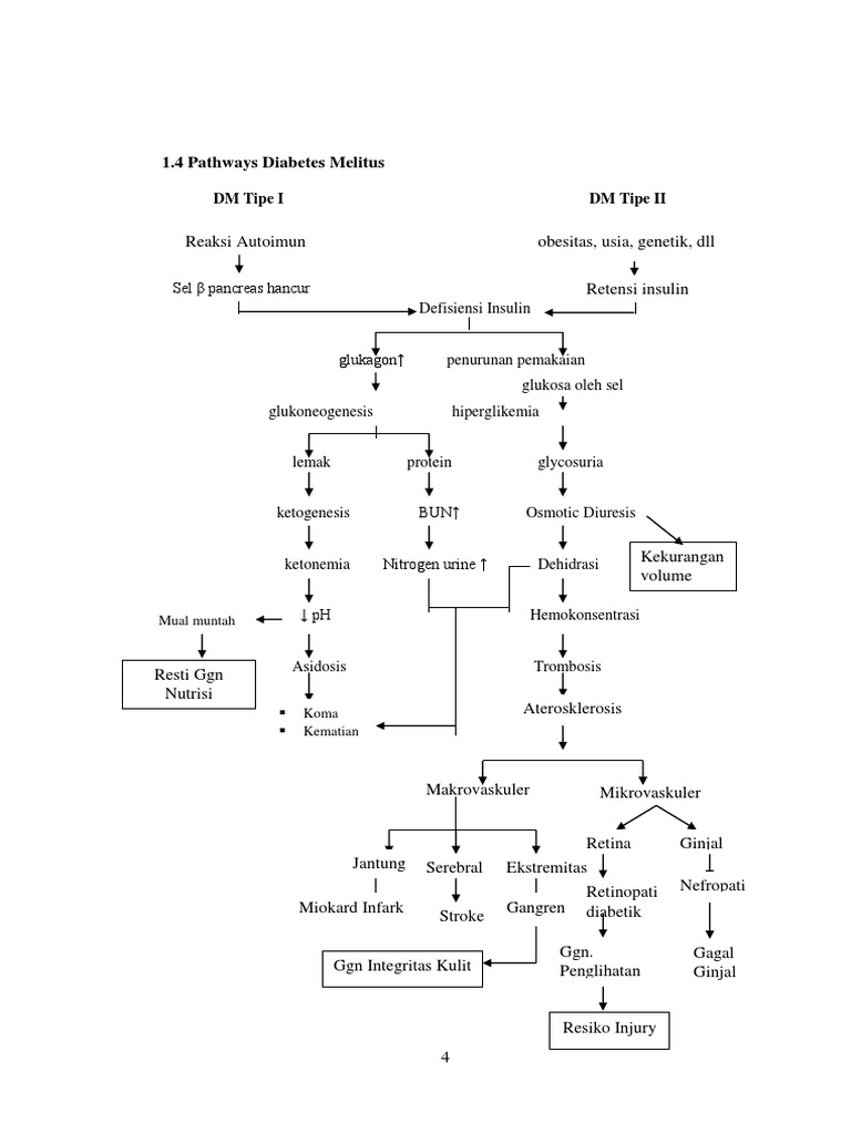 Pathways Diabetes Melitus: DM Tipe I & II | PDF