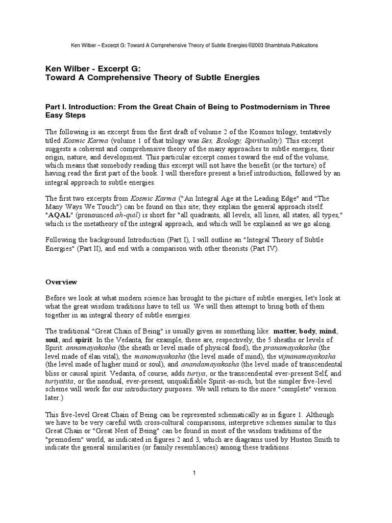 Subtle Energies Excerpt | PDF | Consciousness | Epistemology