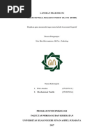 Makalah Tes RMIB | PDF