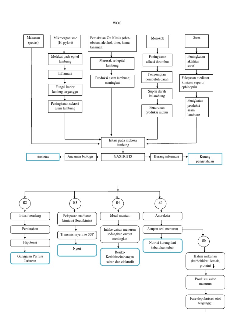 WOC Gastritis 2 | PDF
