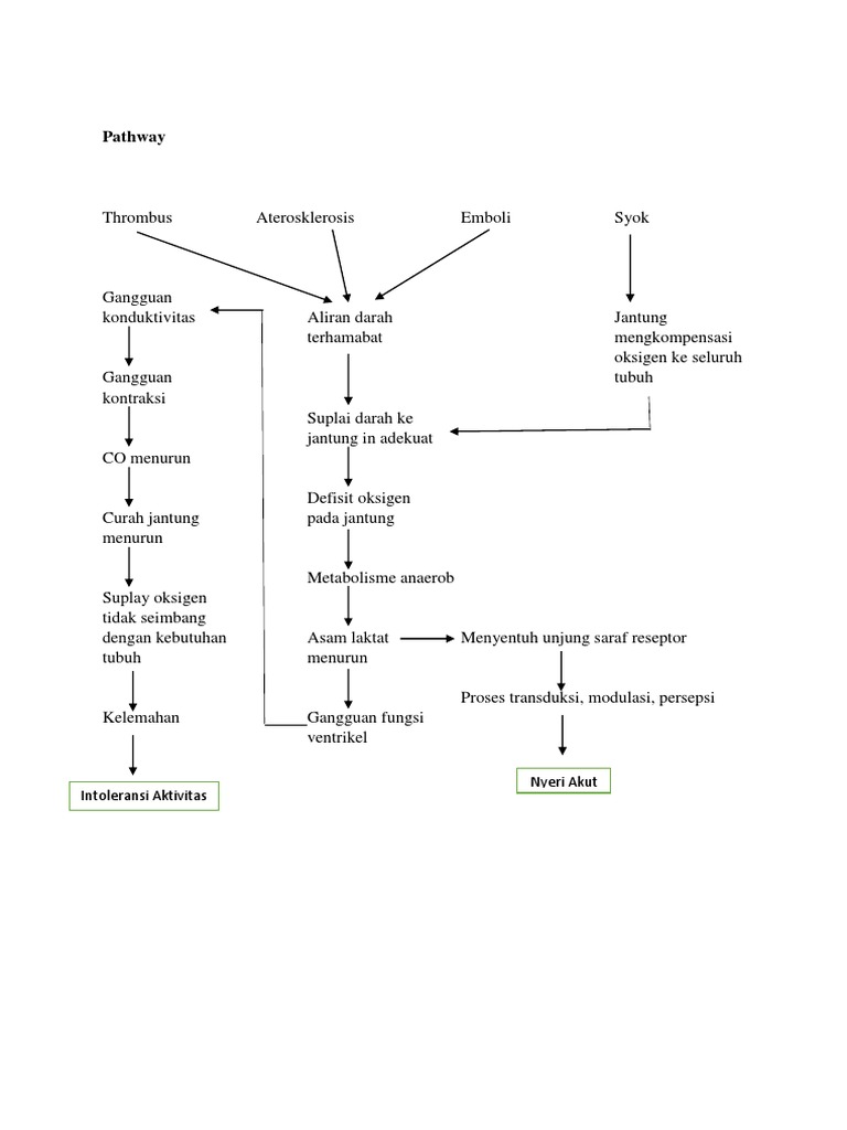 Pathway Stemi | PDF